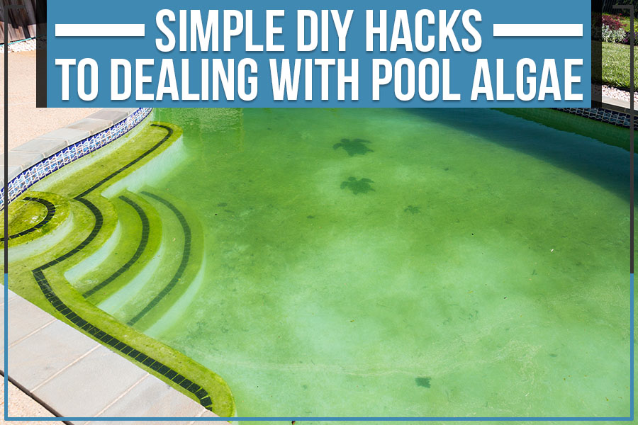 Simple DIY Hacks To Dealing With Pool Algae – AsureNet Blog